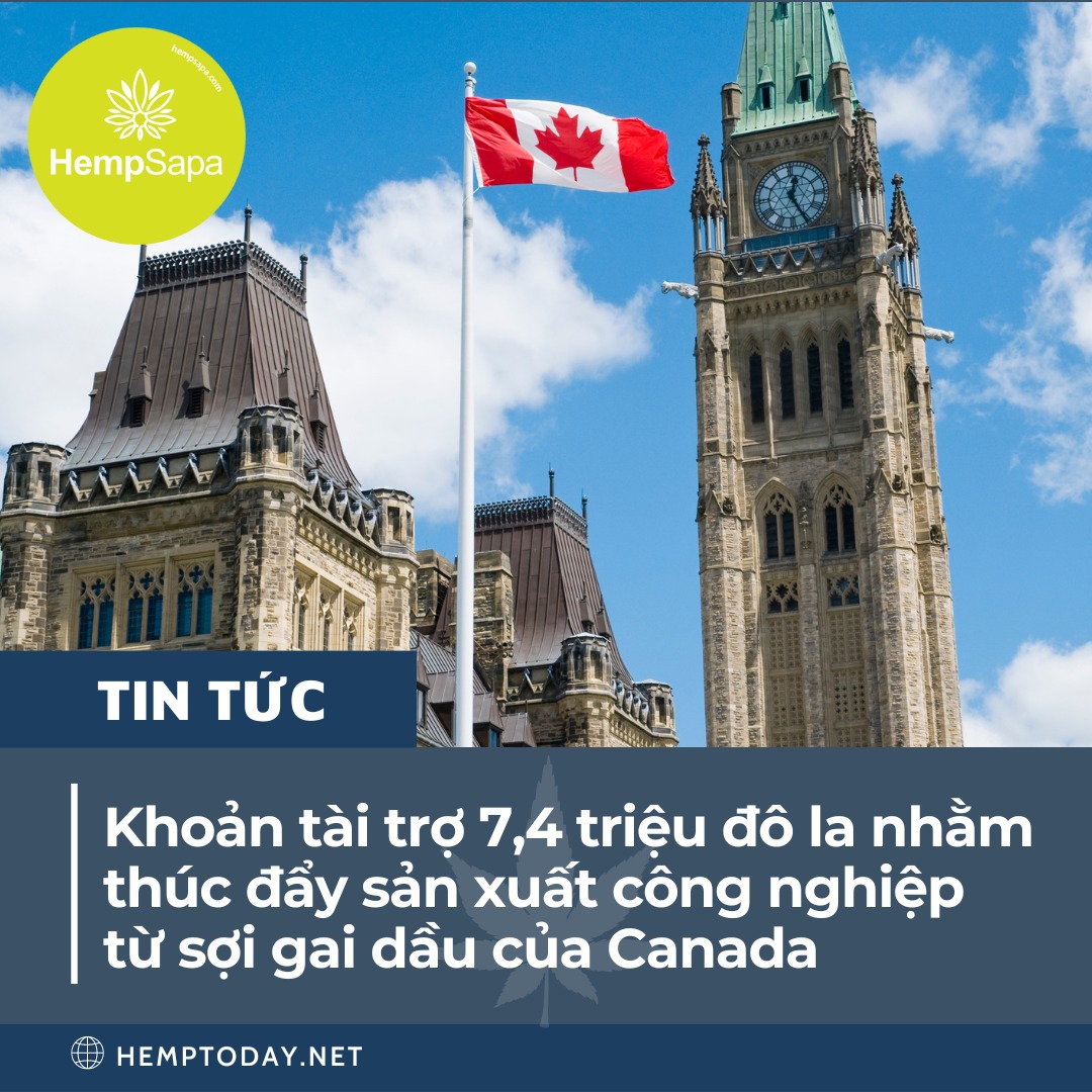 Khoản tài trợ 7,4 triệu đô la nhằm thúc đẩy sản xuất công nghiệp từ sợi gai dầu của Canada